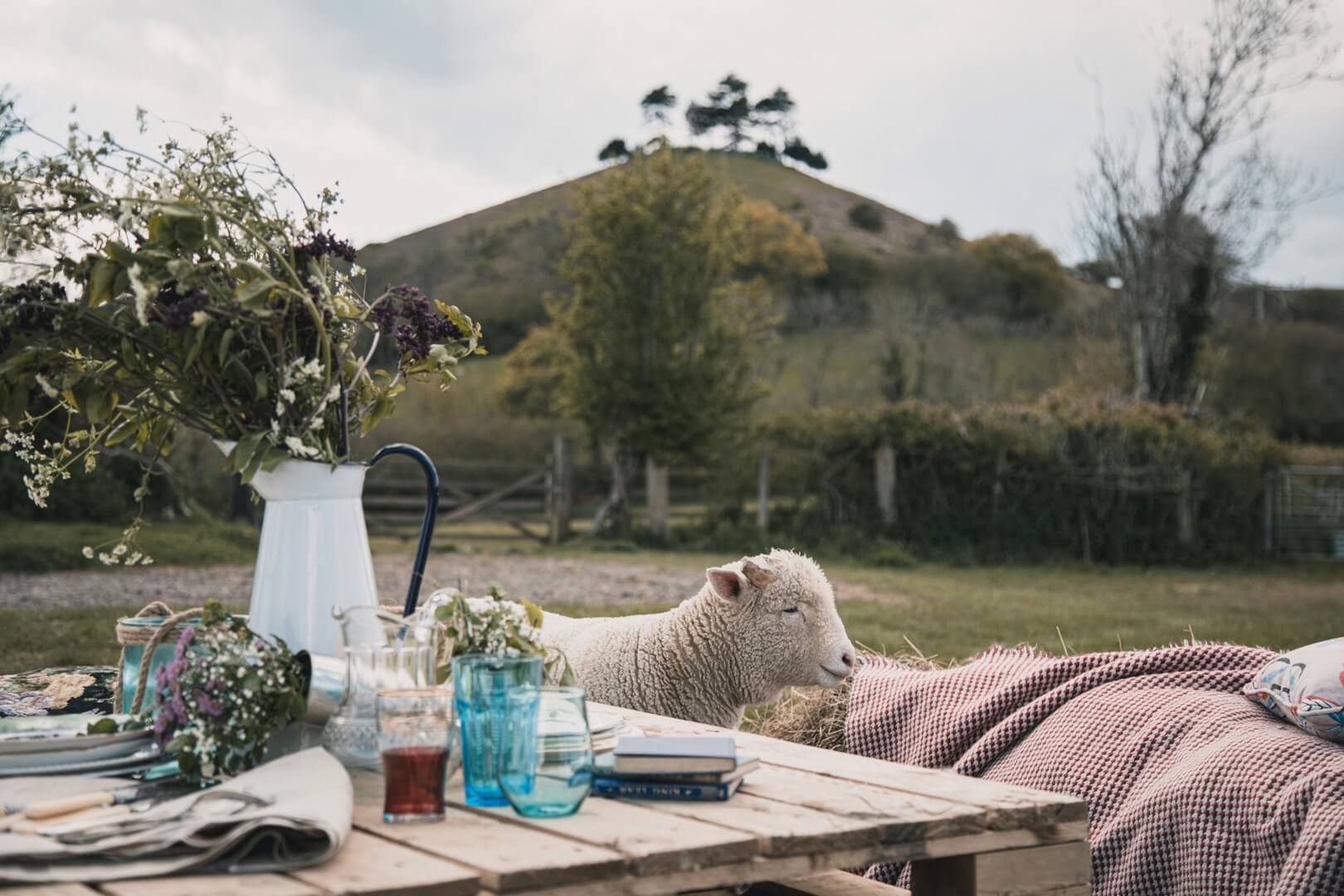 Discover Colmers Hill – A Dorset Walking Adventure