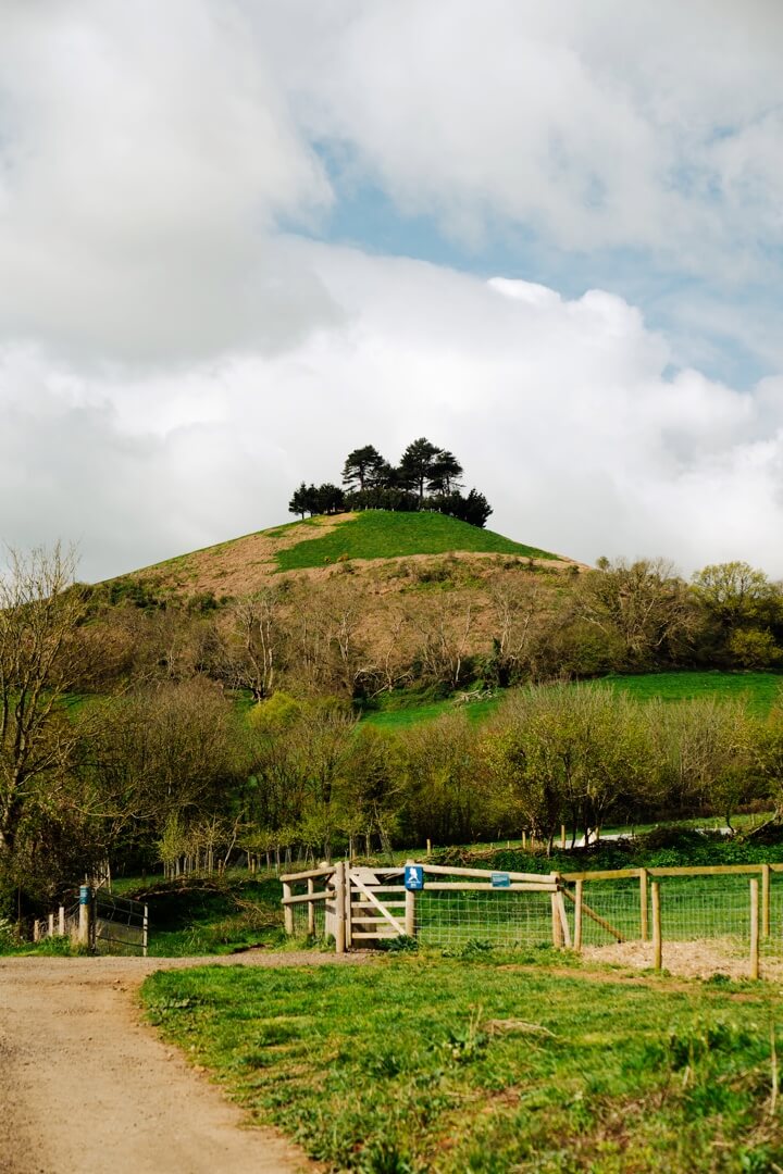 Discover Colmers Hill – A Dorset Walking Adventure