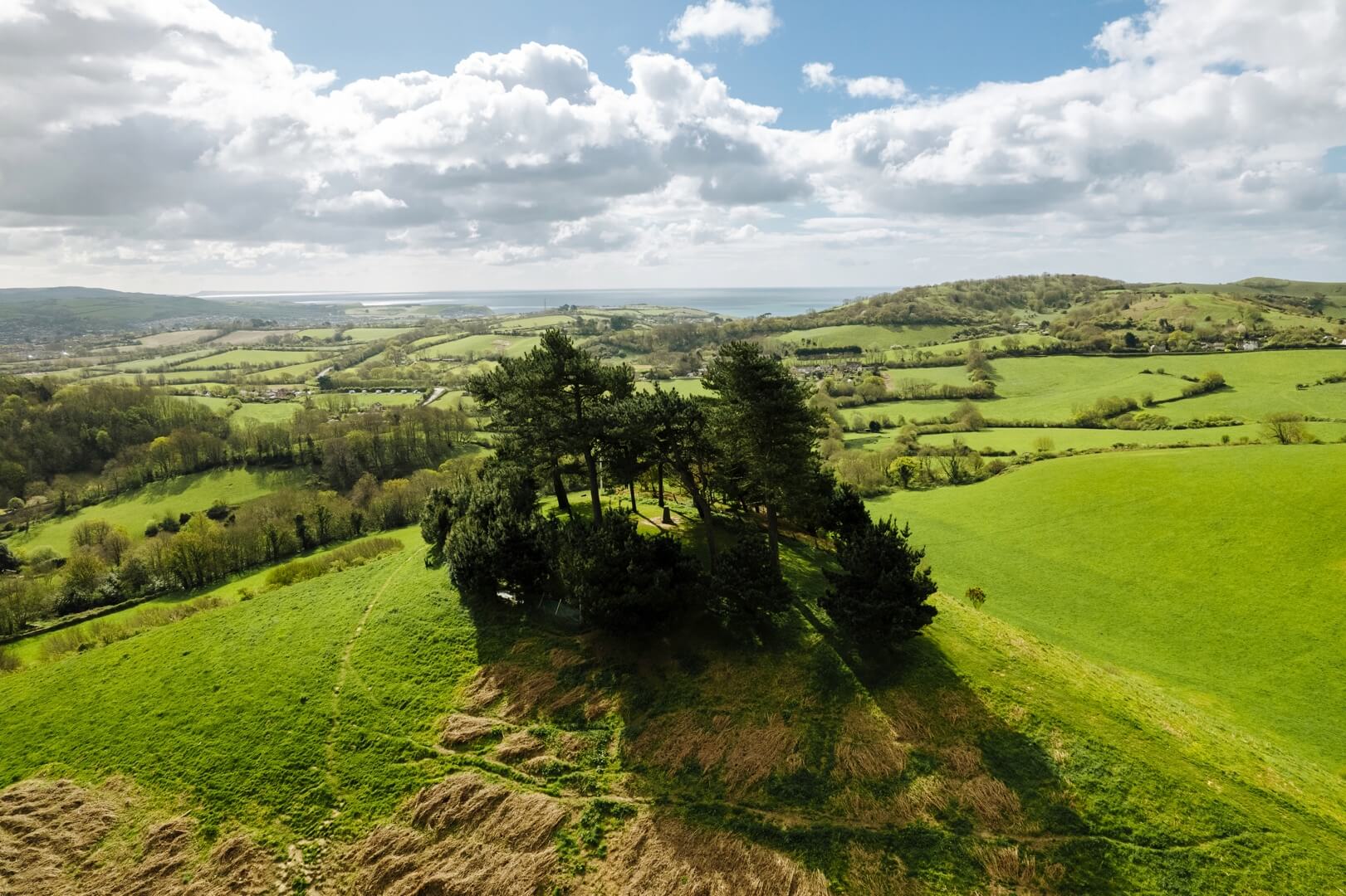 Discover Colmers Hill – A Dorset Walking Adventure
