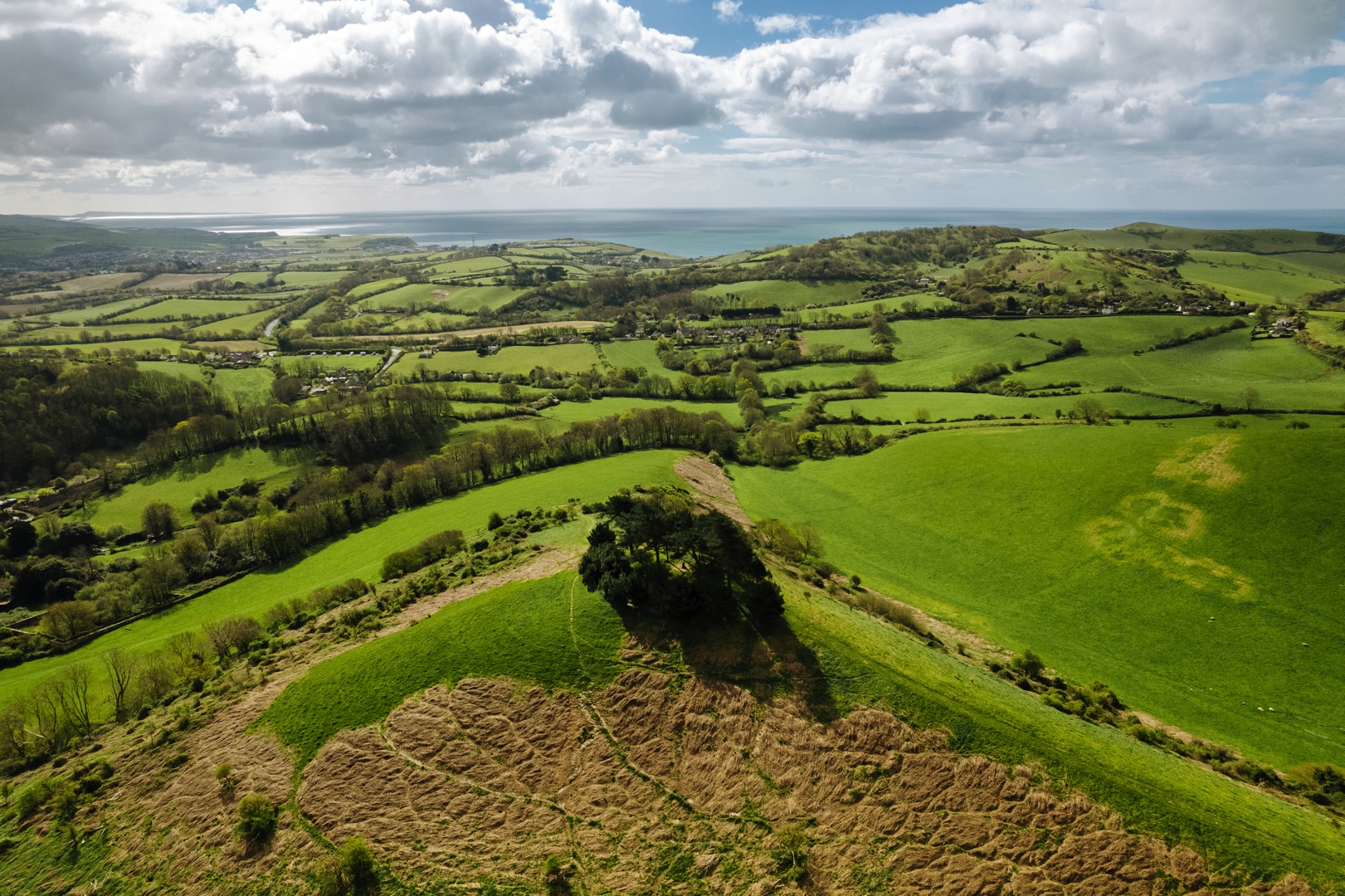 Discover Colmers Hill – A Dorset Walking Adventure